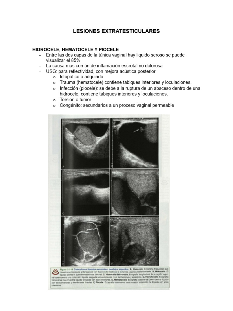 Patologia Testicular 3 | PDF | Especialidades Medicas | Enfermedades y ...