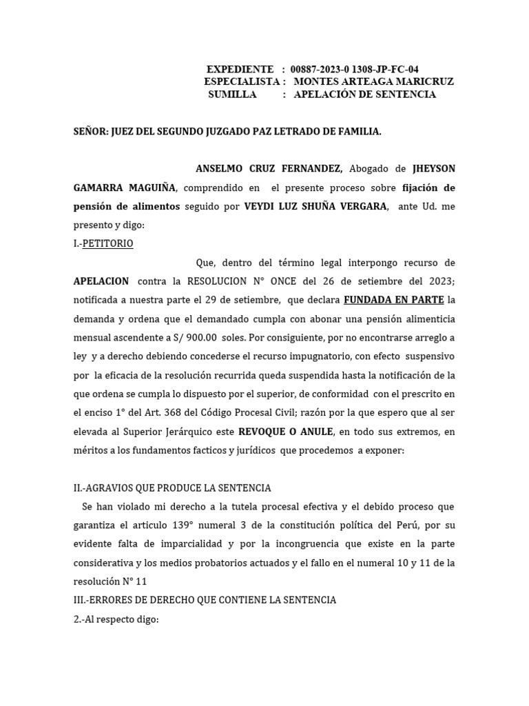 APELACION SENTENCIA-2023 | Descargar gratis PDF | Sentencia (ley) | Debido al proceso