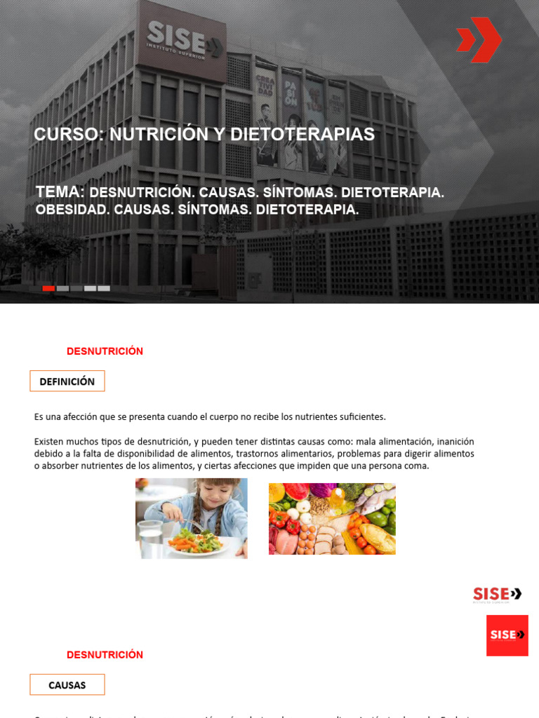 Curso: Nutrición Y Dietoterapias: Tema | PDF | Alimentos | Obesidad
