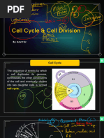 Mnemonics For Cycle Cell and Division | PDF