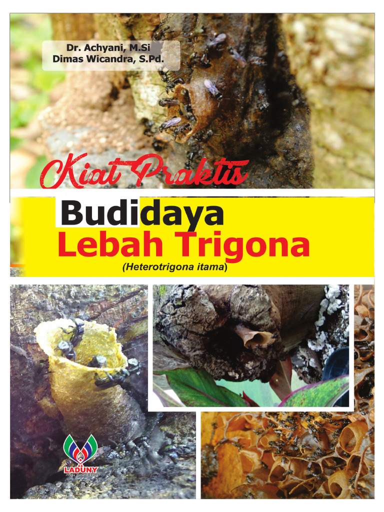 Kiat Praktis Budidaya Lebah Trigona | PDF | Griya & Taman