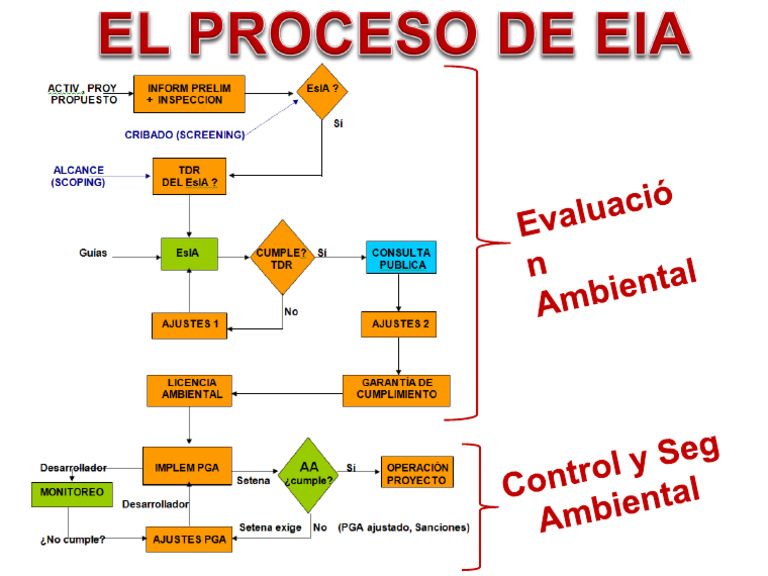 Proceso EIA | PDF