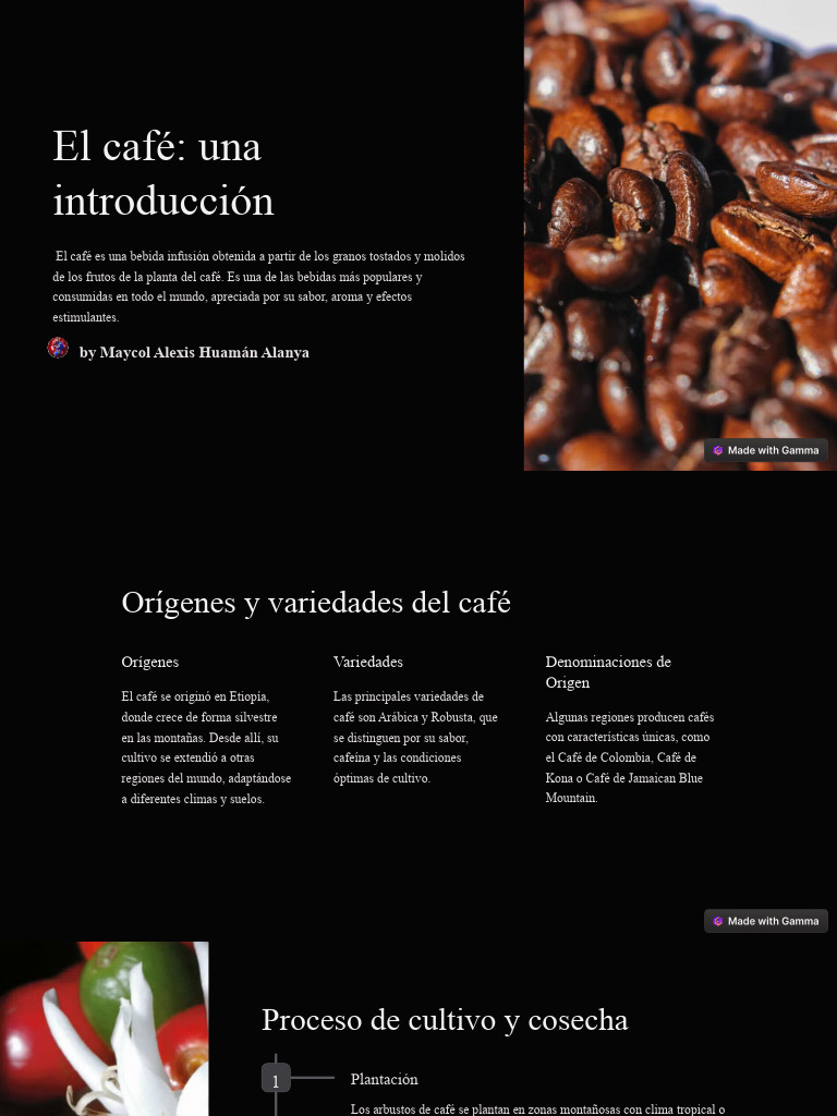 El-cafe-una-introduccion | PDF | café | Agricultura