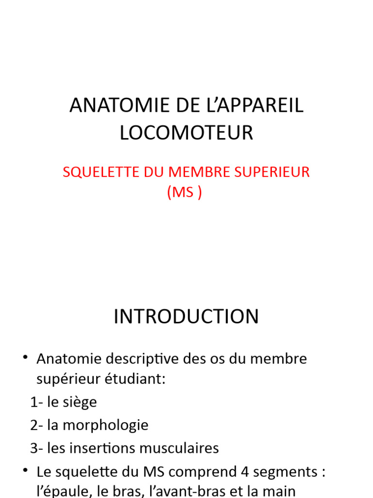 Anatomie du Membre Supérieur | PDF | Appareil locomoteur | Membres ...