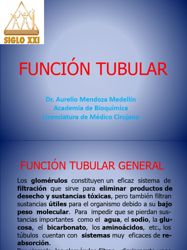 Funciã - N Tubular Siglo Xxi | PDF | Orina | Riñón