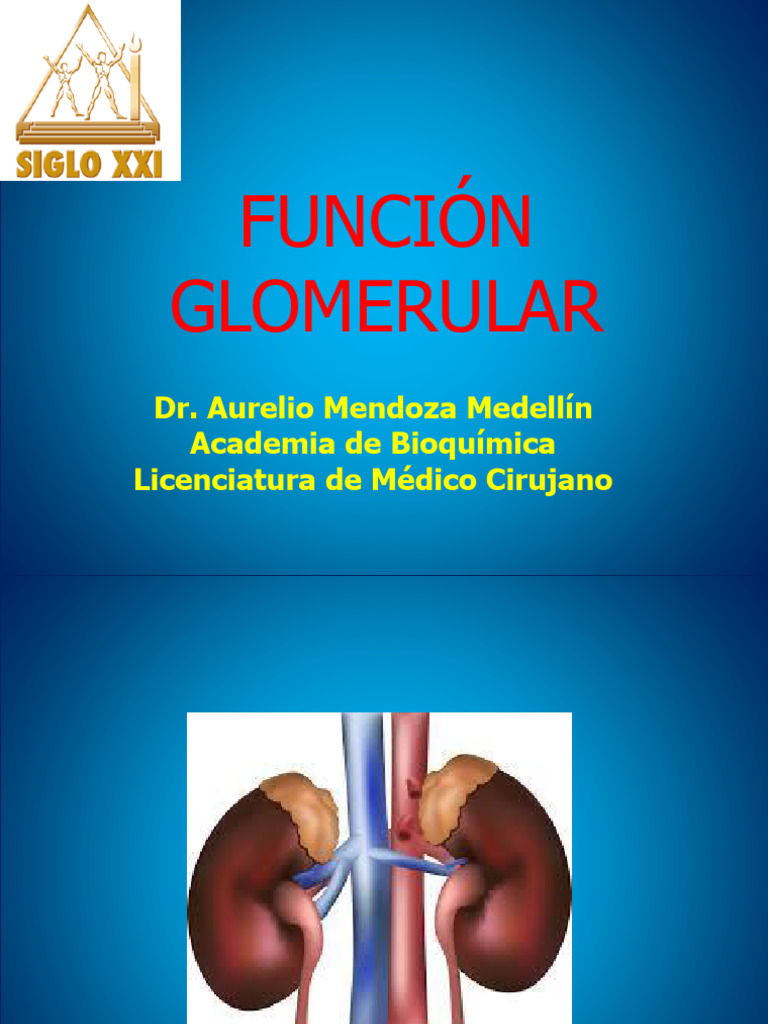 Funciã - N Glomerular Siglo Xxi | PDF | Riñón | Sistema urinario