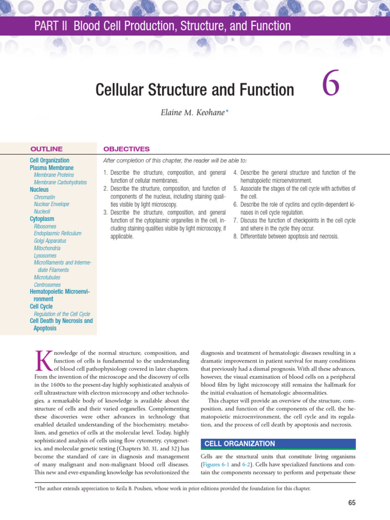 Bab. 6 Rodak. Celullar Structure and Function | PDF | Mitosis | Cell ...