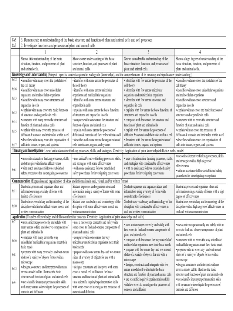 Cells Rubrics | PDF | Cell (Biology) | Organisms