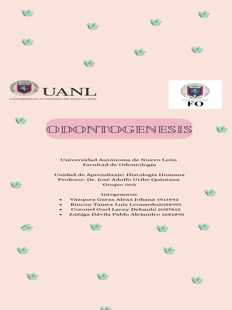 Poster Odontogenesis 1 | PDF | Diente | Morfología (biología)