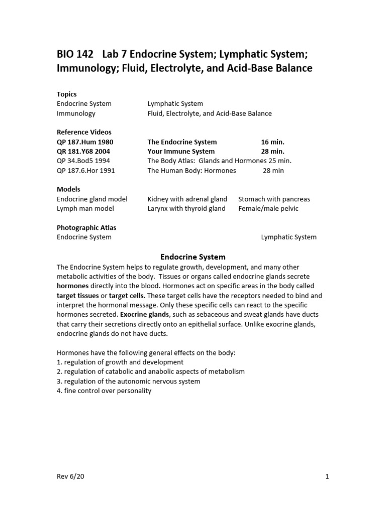 BIO 142 Lab 7 Endocrine & Lymphatic Systems Online | PDF | Lymphatic ...