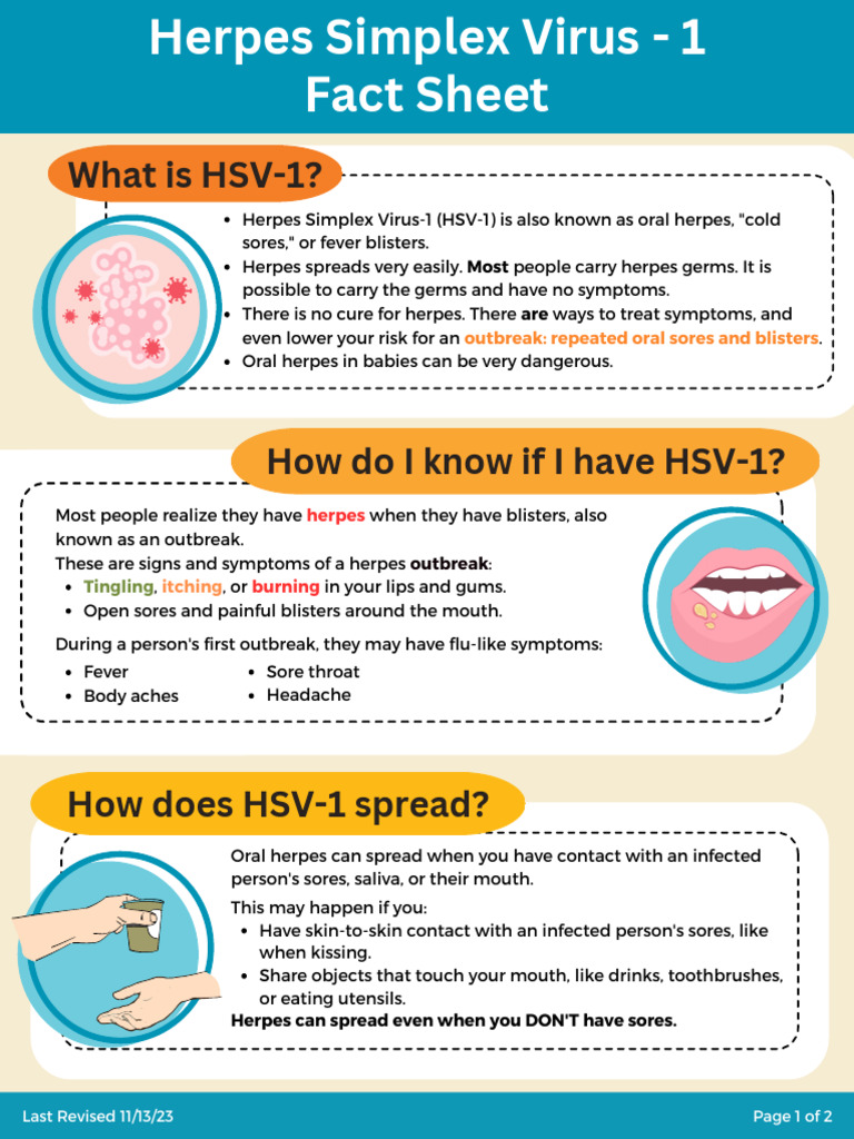 Herpes Simplex Virus 1 - Fact Sheet | PDF | Medicine | Medical Specialties
