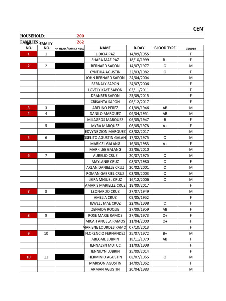 Barangay Census | PDF
