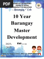 Barangay Disaster Risk Reduction & Management (BDRRM) Plan 2025 | PDF ...
