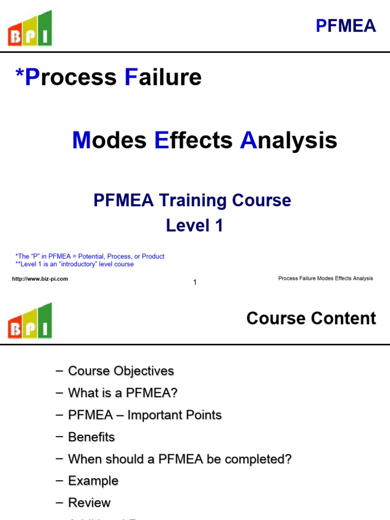 Pfmea Preview | PDF | Business Process | Business