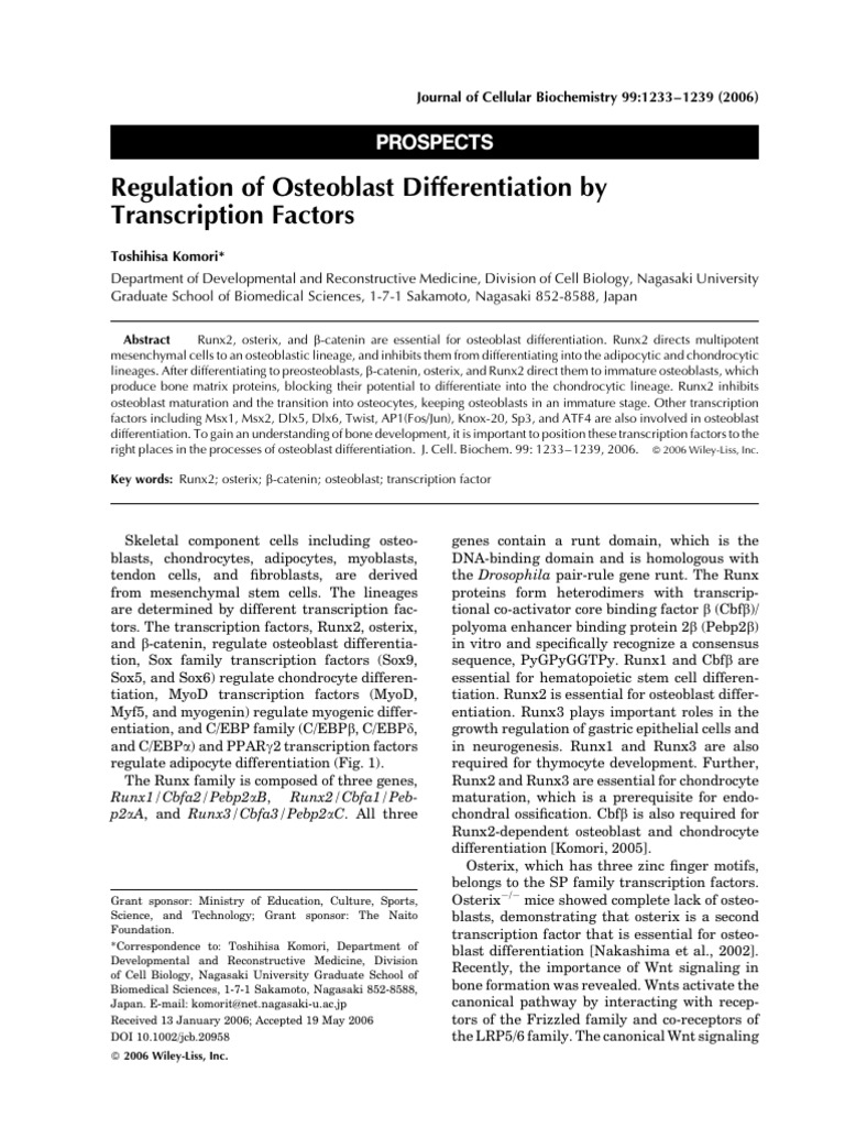 J of Cellular Biochemistry - 2006 - Komori - Regulation of osteoblast differentiation by ...