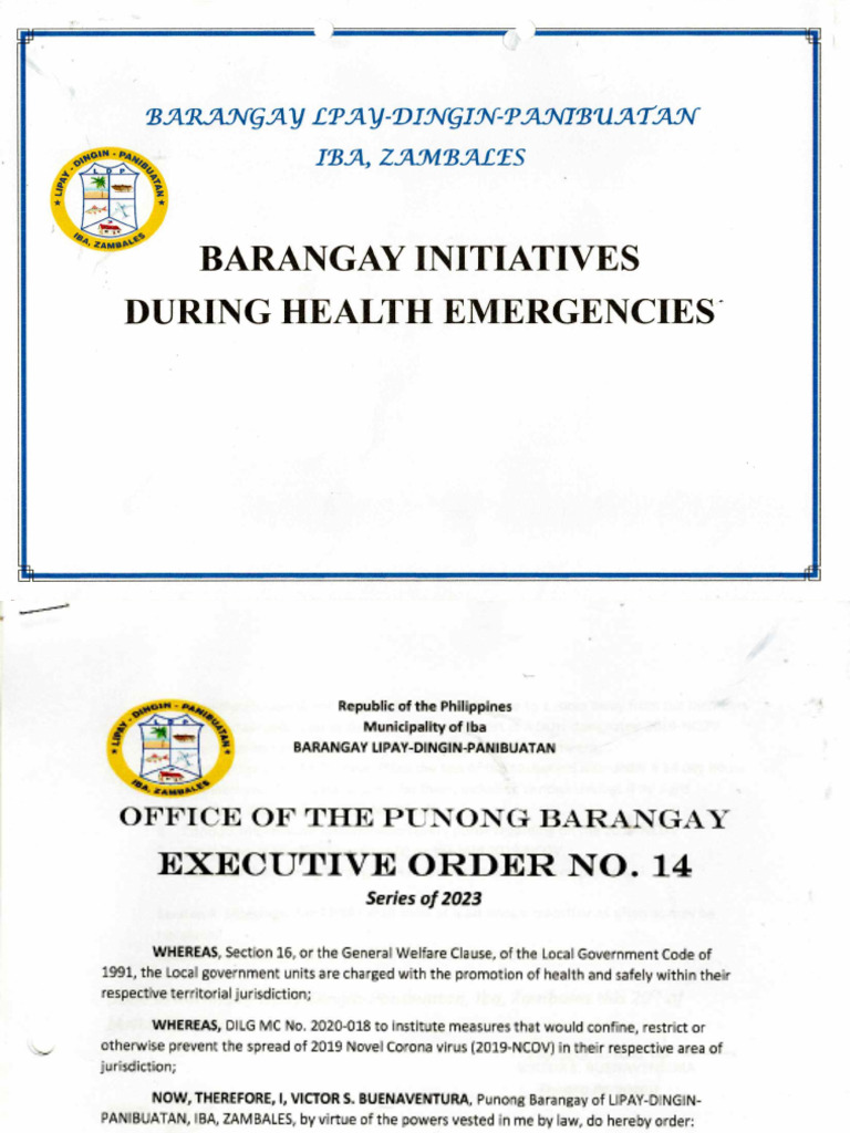 Barangay Initiatives During Health Emergency | PDF