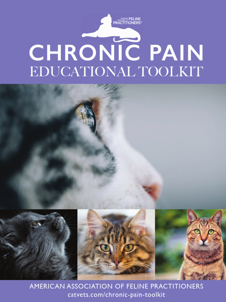 AAFP Chronic Pain Toolkit Full | PDF | Pain | Pain Management