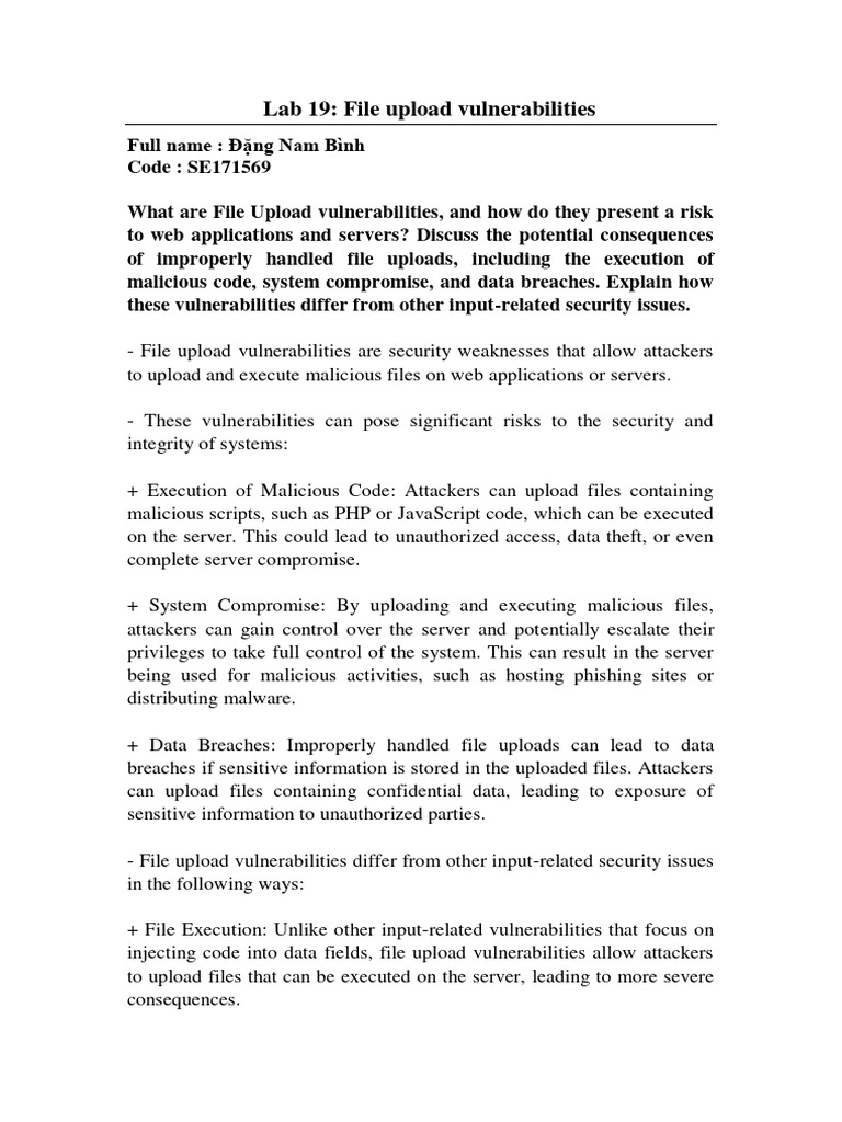 IA1701 - SE171569 - Đặng Nam Bình - LAB19 | PDF | Malware | World Wide Web