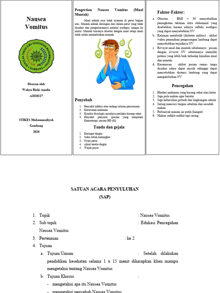 SAP Dan Leaflet | PDF