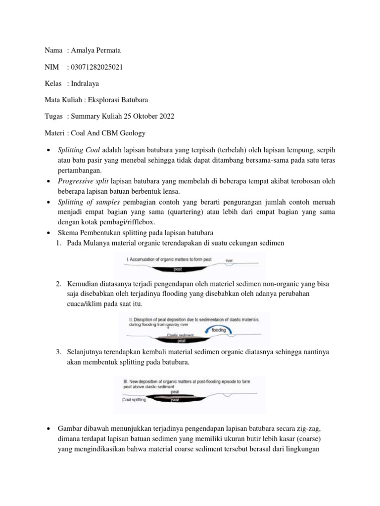 Amalya Permata - 03071282025021 - Resume Kuliah Eksplorasi Batubara (25 OKTOBER 2022) | PDF