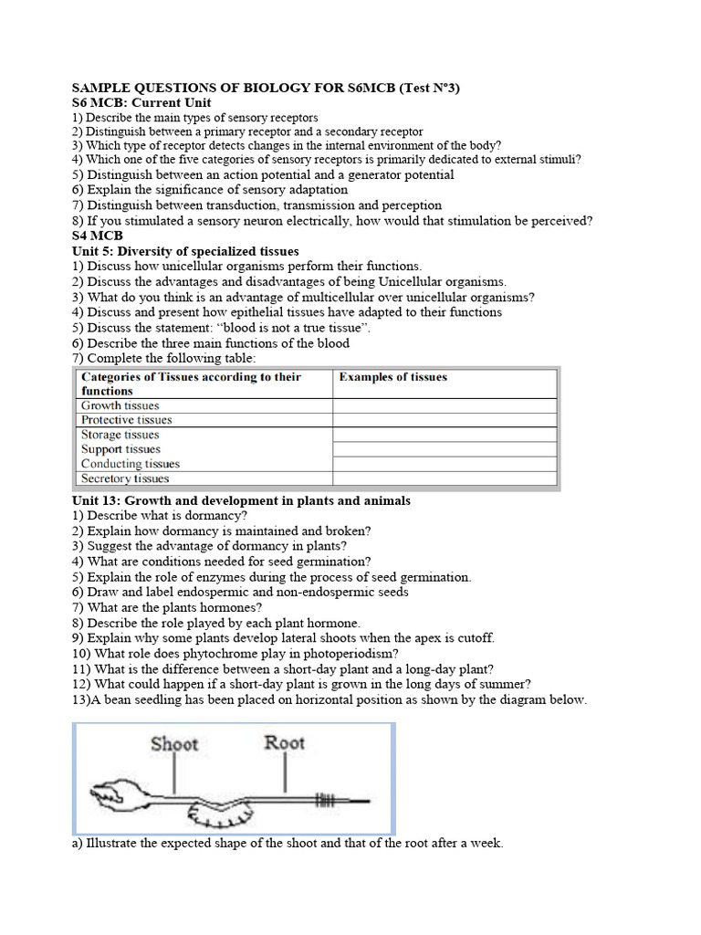 Biology Exercises For S6MCB | PDF | Genetic Code | Messenger Rna