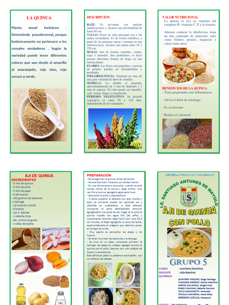 Triptico Aji de Quinua Con Pollo | PDF | Quinua | Tallo de la planta