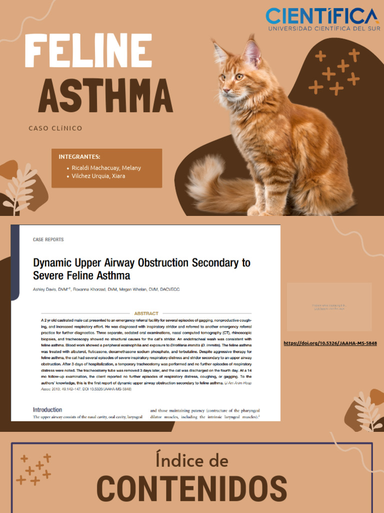 Asma Felino | PDF | Biología | Bioquímica