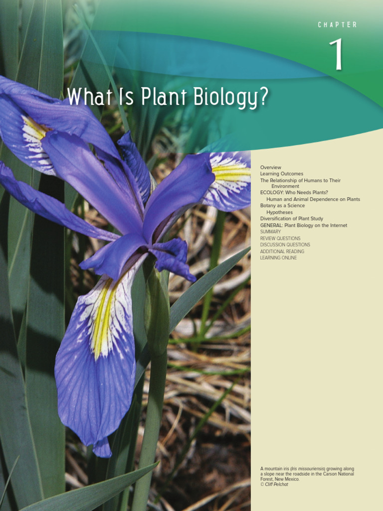 Chap 1 | PDF | Plants | Botany