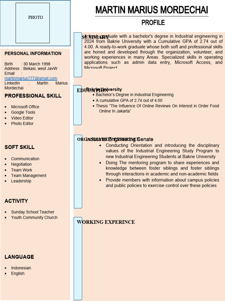 CV Martin Marius - English Version | PDF | Human Communication