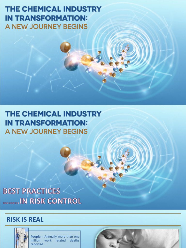 Best Practice in Rick Control | PDF | Risk | Leadership