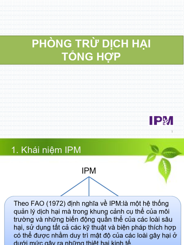 Bài 2. IPM | PDF