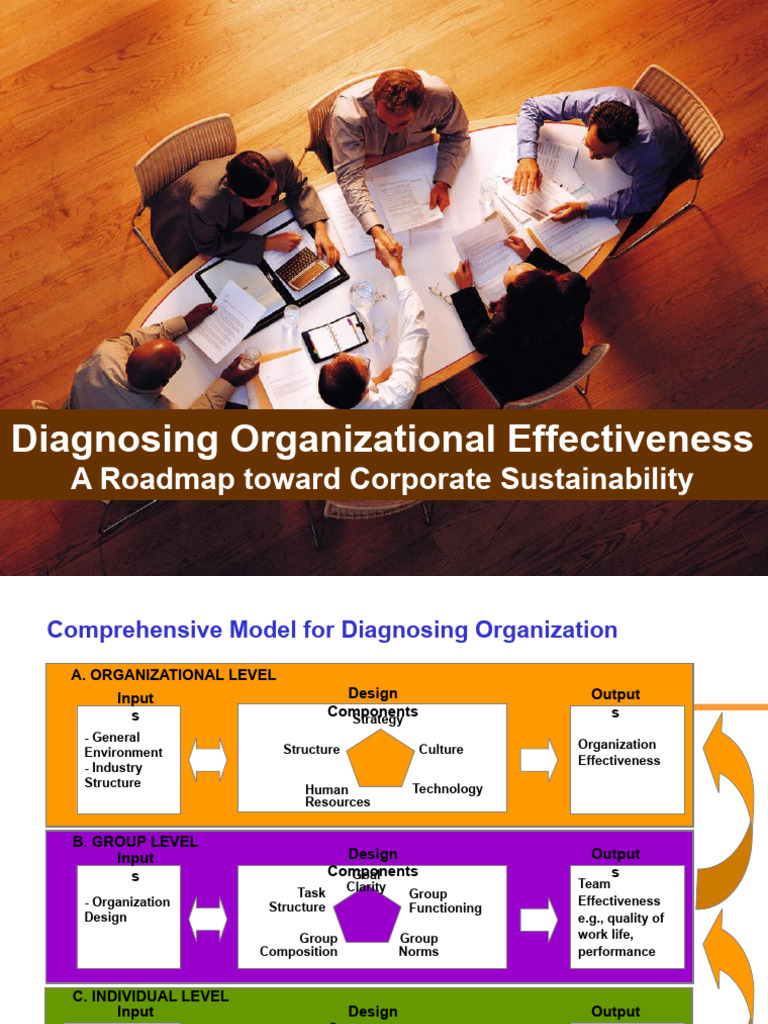 Diagnosing Organizational Effectiveness | PDF | Cognition | Organizational Behavior