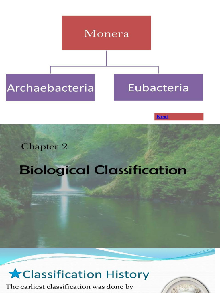 CLASS XI BIOLOGY PPT Chapter 2 Biological Classification | PDF