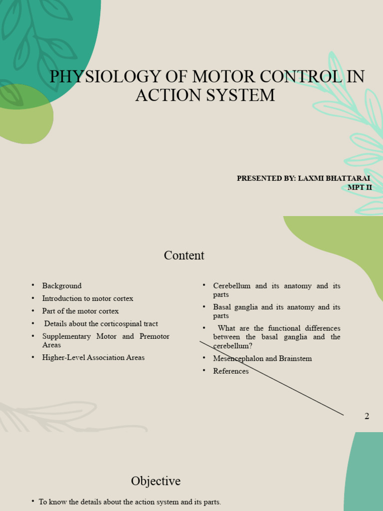 Physiology of Motor Control in Action System | PDF | Motor Neuron ...