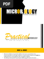 MIC and MBC Assays Protocol | PDF | Microbiology