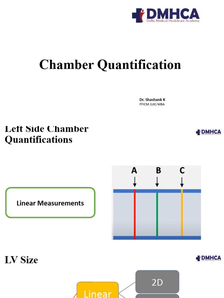 Chamber Quantification | PDF | Ventricle (Heart) | Atrium (Heart)