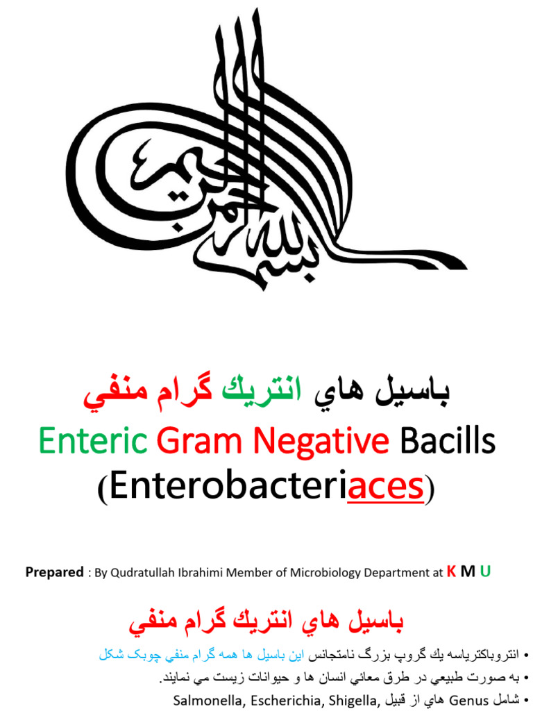 لکچر پنجم طب Enteric Gram Negative Bacills | PDF