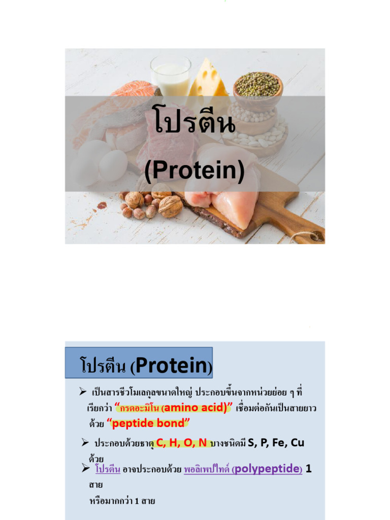 Protein | PDF