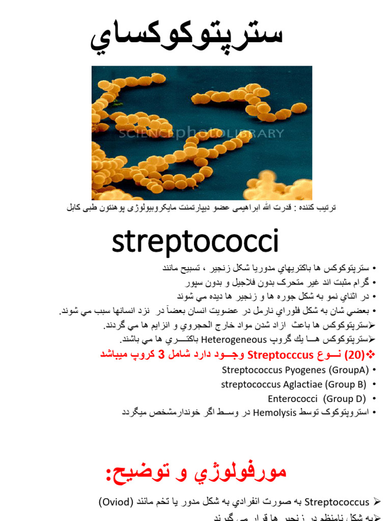 لکچر دوم مربوط هفته دوم Streptococci | PDF
