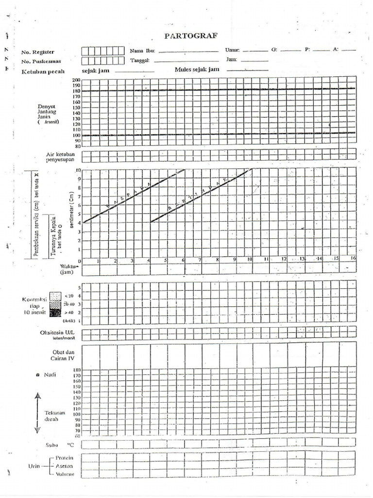Partograf | PDF