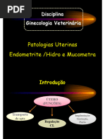 Metrite e Endometrite em Bovinos: Guia Completo | PDF | Bactérias ...
