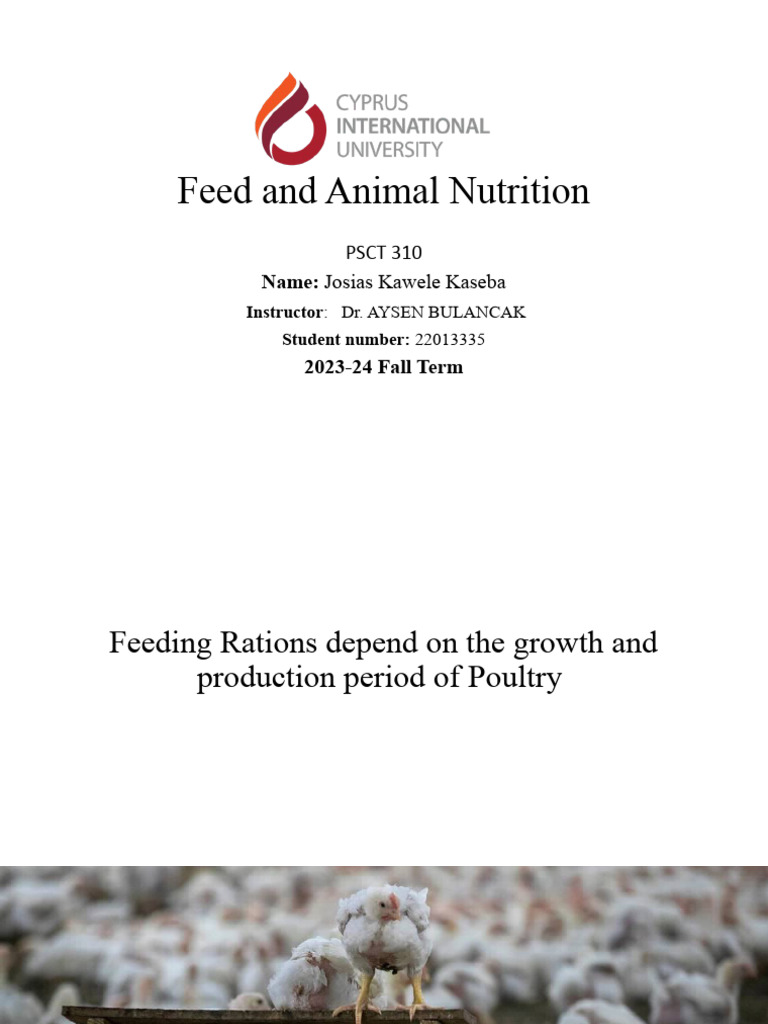 Poultry Nutrition: Feeding Rations Guide | PDF | Vegetable Oil | Cereals