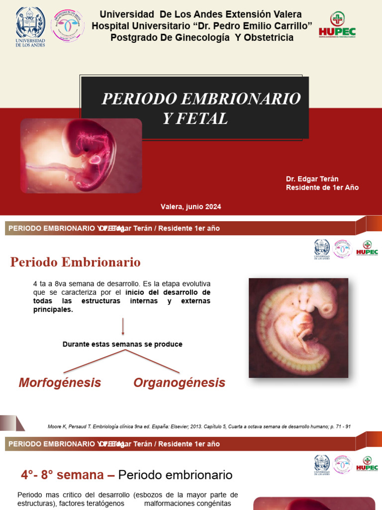 Periodo Embrionario y Fetal Edgar | PDF | Embrión | Procesos biologicos