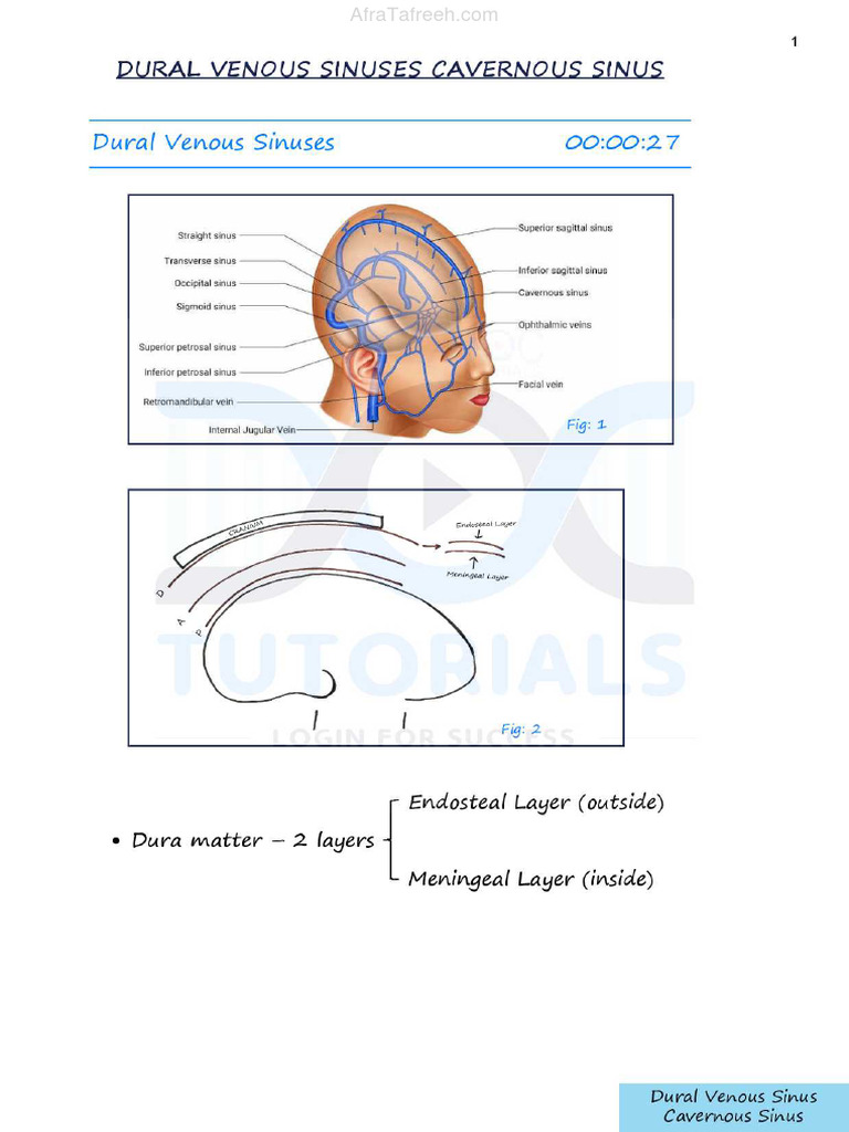 Anatomy Atf | PDF | Otorhinolaryngology | Human Head And Neck