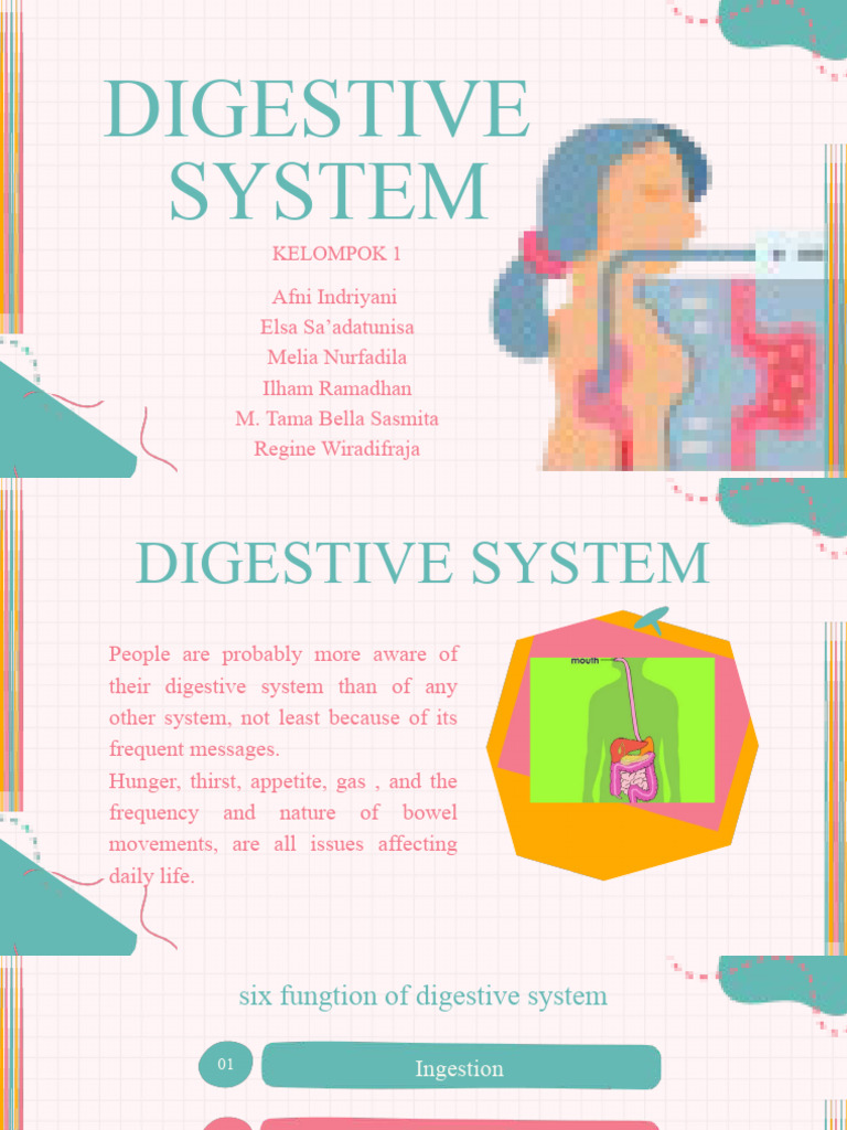 Dehydration and Compaction in Digestion | PDF | Human Digestive System ...