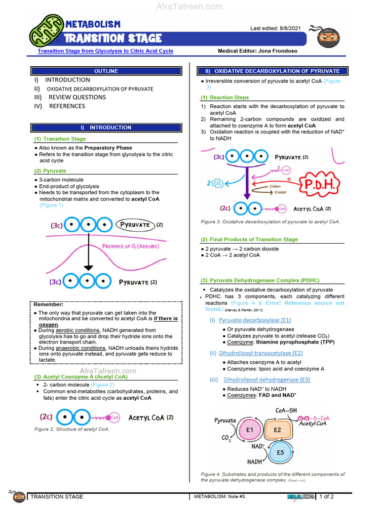 Transition Stage (Preparatory Phase) Atf | PDF | Pyruvic Acid ...