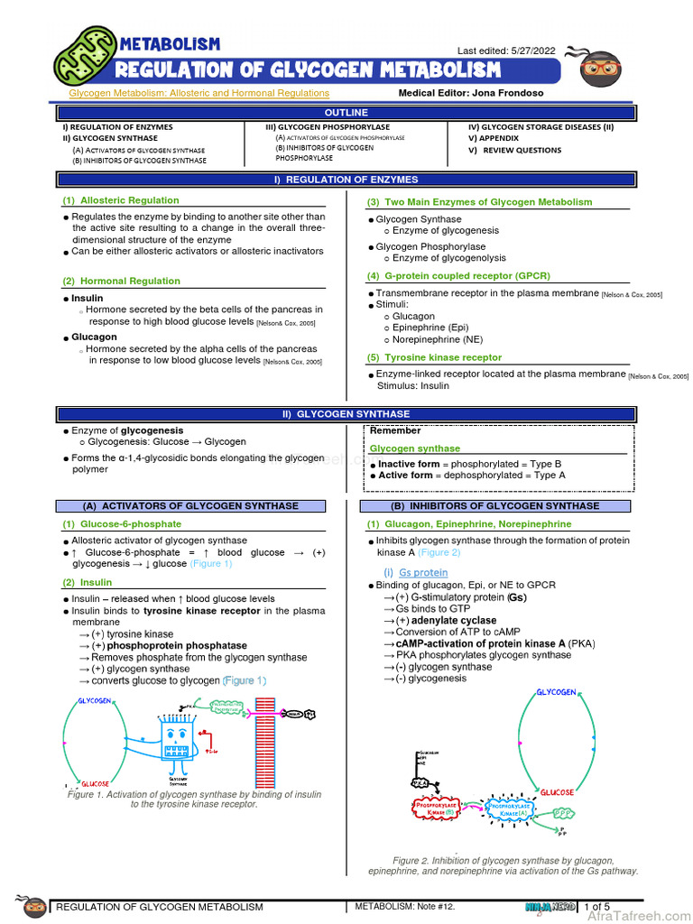 Regulation of Glycogen Metabolism Atf | PDF | Kinase | Glycogen