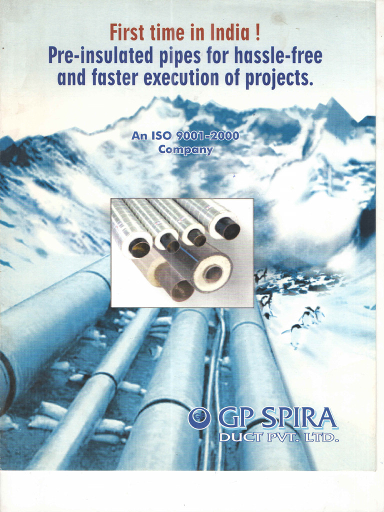 PIP Broucher | PDF