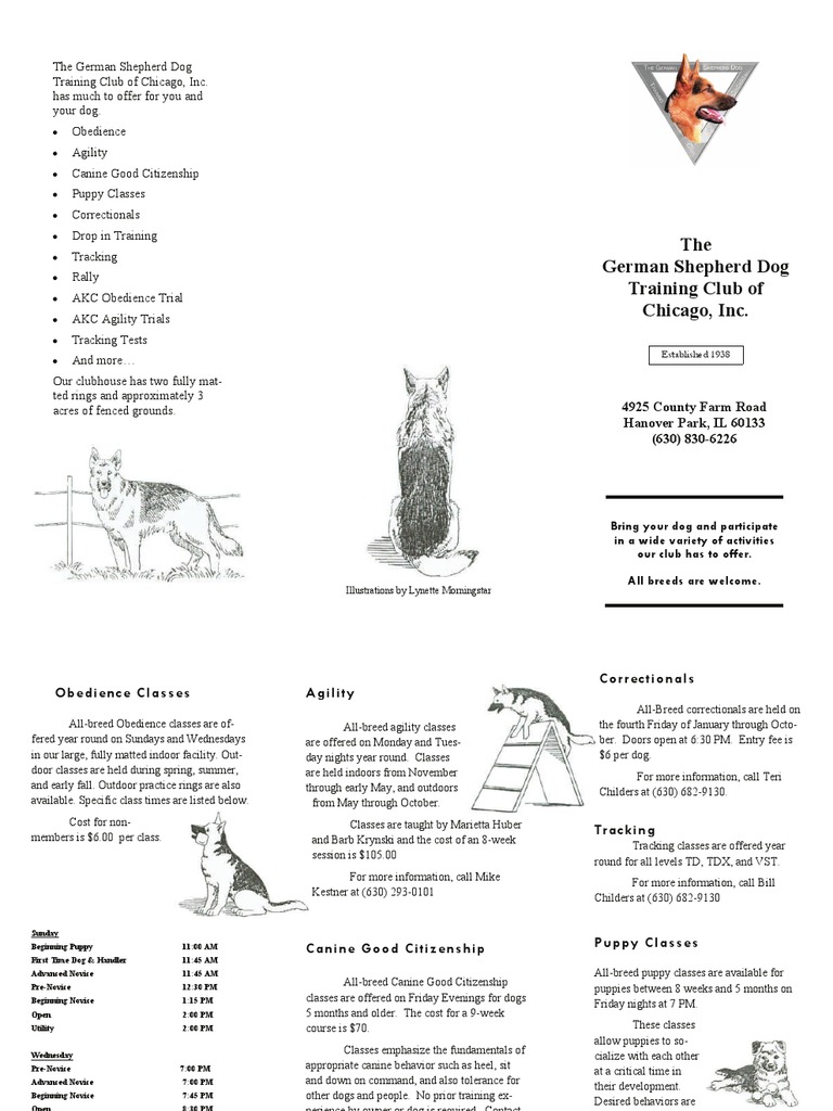 Dog Training | PDF | Obedience Training | Animal Training