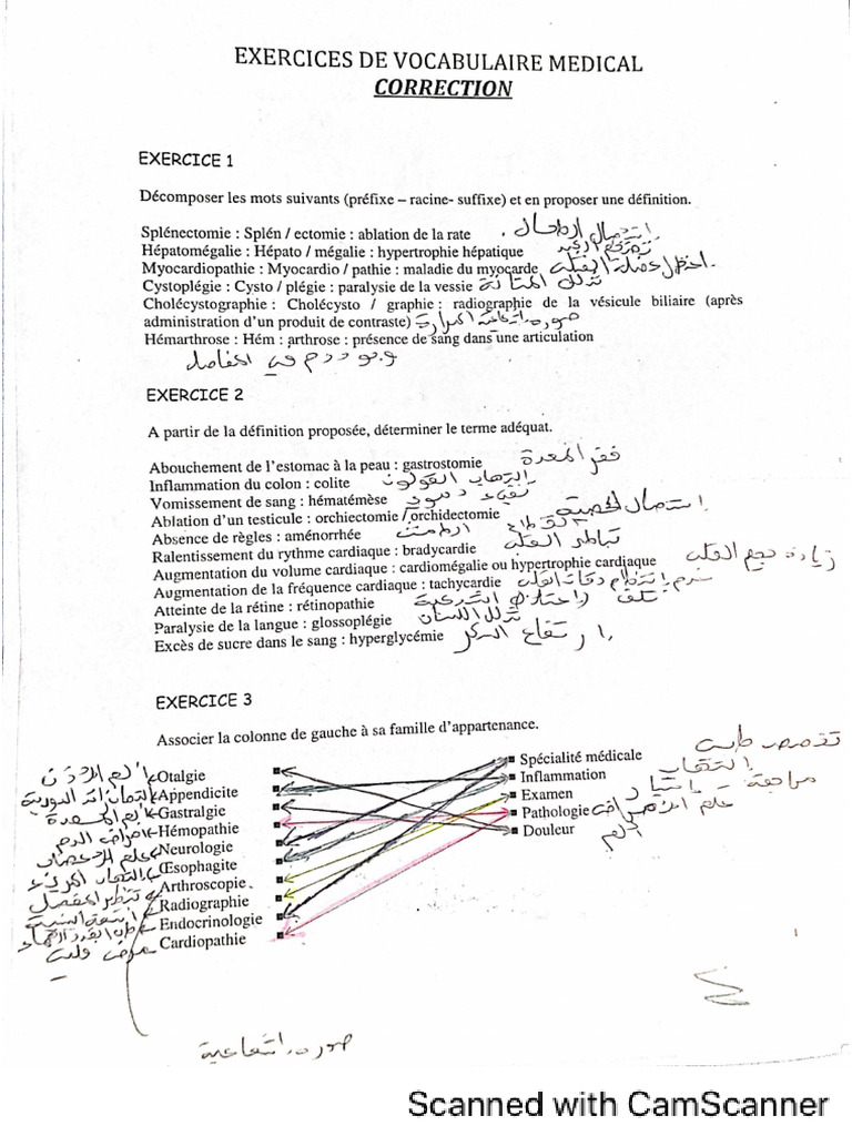 Exercices Du Vocabulaire Médical | PDF